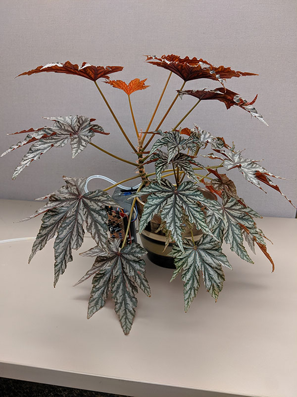 Arduino Controlled Automatic Indoor Plant Watering System